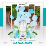 Sp2s II V2 Pod ( 10 FREE 1 ) - Best Vape Online Store in Malaysia